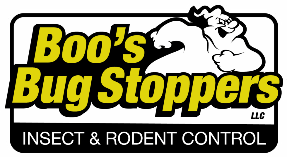 Bed Bug Treatment Options - Boo's Bug Stoppers