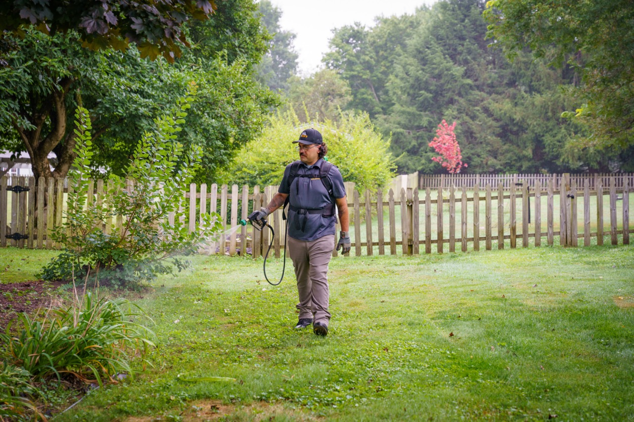 Boo's Bug Stoppers - Maintenance Plans - Boo's Bug Stoppers